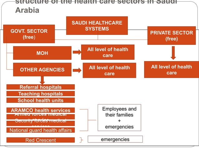Health systems in saudi arabia | PPT