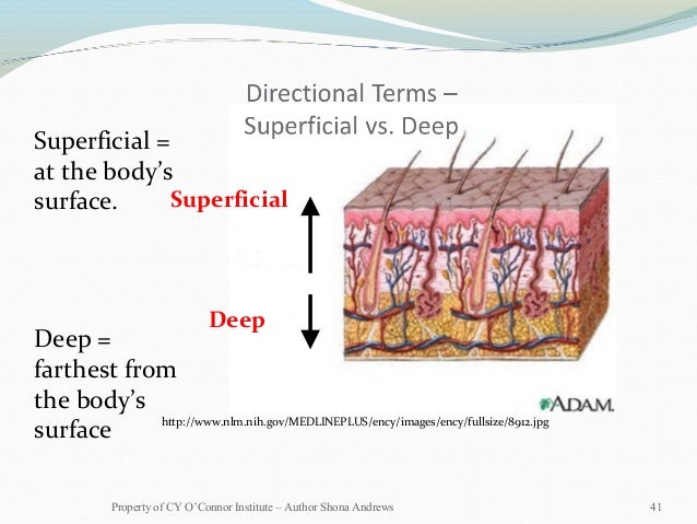 Health terminology blackboard