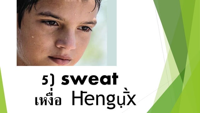 Health vocabulary Grade 2: SKIN | PPTX