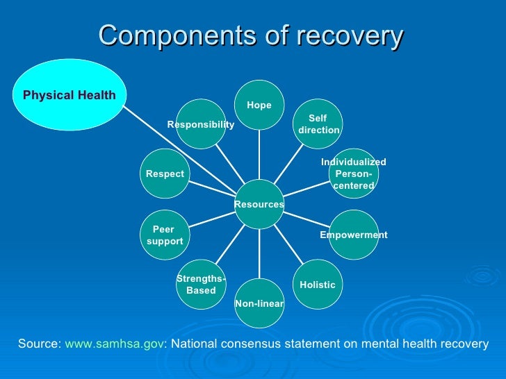 Health,Wellnessand Recovery082109 Presentation