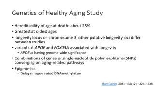 Healthy aging | PPTX