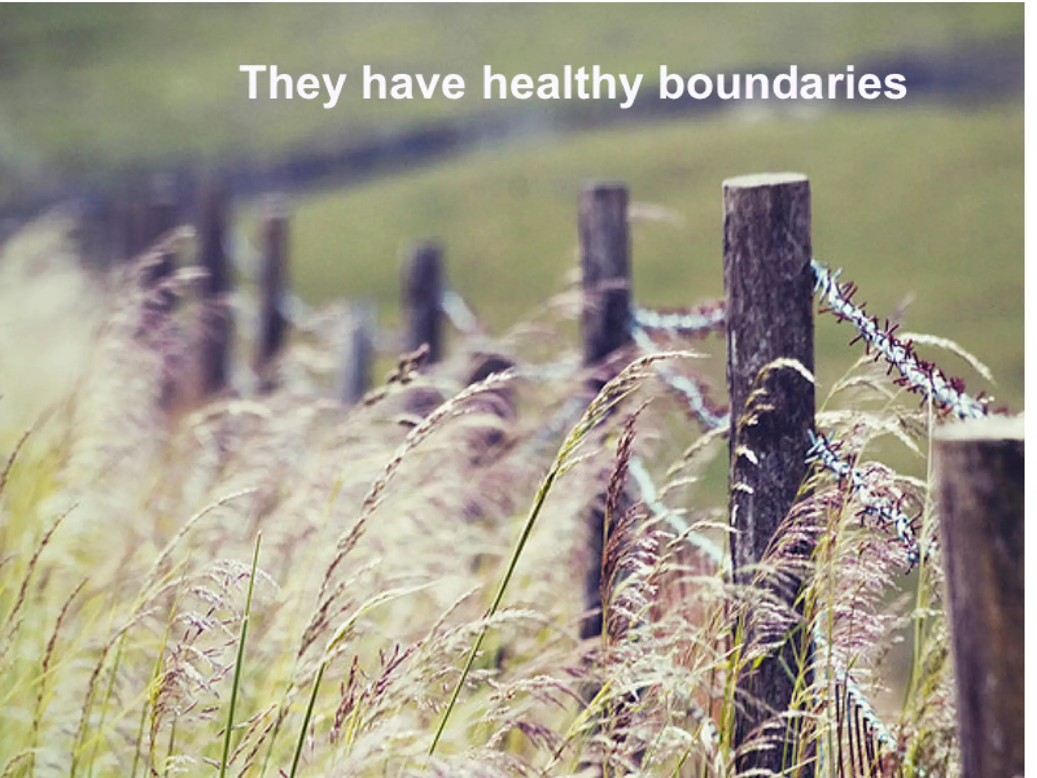 Healthy boundaries | PDF