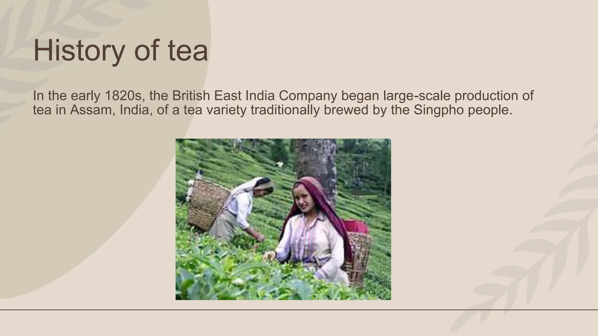 -Healthy choice -- Tea VS Coffee!!!.pptx