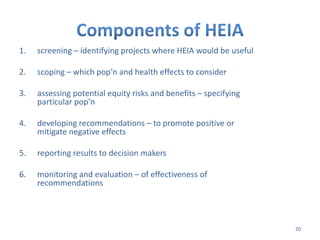 Health Equity Impact Assessment Workshop: Healthy Connection | PDF