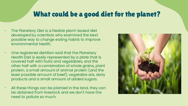 Healthy Diet For Our Planet, by Noa Durán 3ºC.pdf