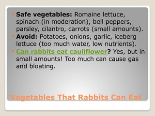 Healthy Eating for Happy Bunnies: A Guide to Rabbit Nutrition | PPTX
