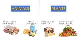 Healthy food | PPTX