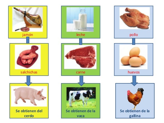 Healthy food español