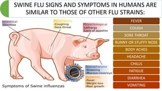 Natural Herbs To Avoid Swine Flu H1N1 | Healthy Food & Tips | PPTX