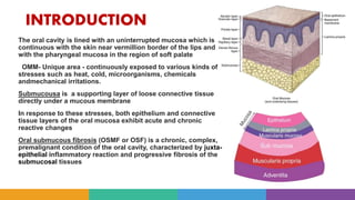 ORAL SUBMUCOUS FIBROSIS MULTI | PPTX