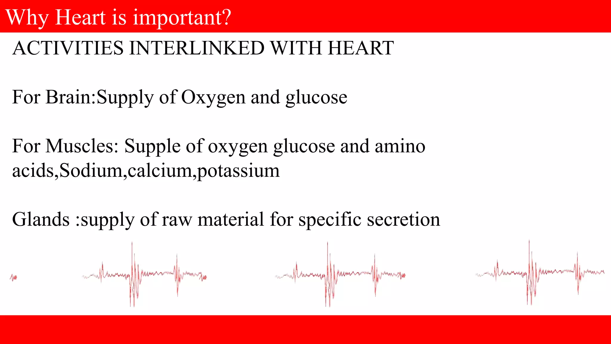 Healthy Heart- World Heart Day | PPTX