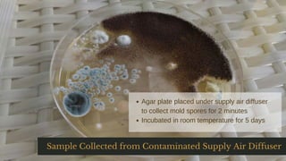 Keeping A Healthy Workplace - Indoor Environmental Quality | PPT