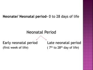 Neonatal Period