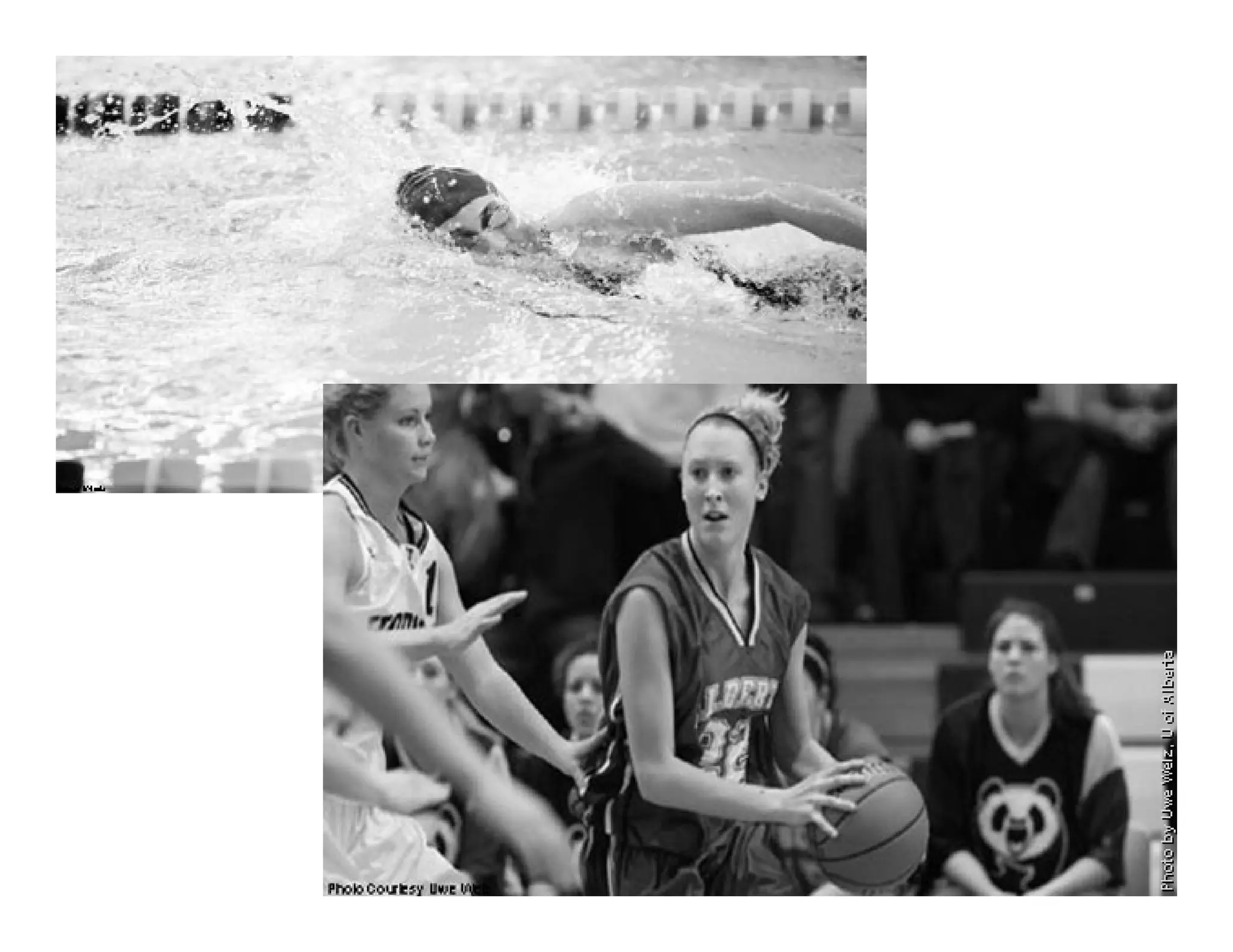 Healthy Panda Project: keeping University of Alberta's high performance ...