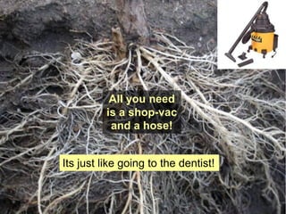 Managing for Healthy Roots | PPT