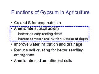 Managing for Healthy Roots | PPT
