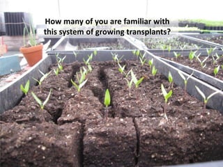 Managing for Healthy Roots | PPT