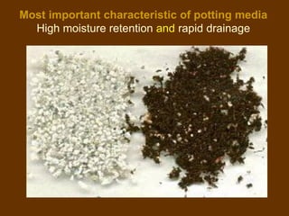 Managing for Healthy Roots | PPT