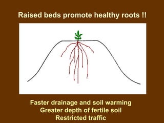Managing for Healthy Roots | PPT