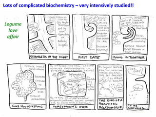 Managing for Healthy Roots | PPT