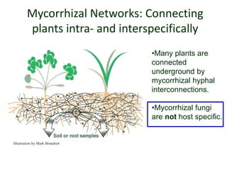 Managing for Healthy Roots | PPT