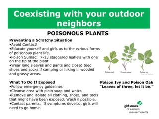 Healthy Safe And Prepared | PPT