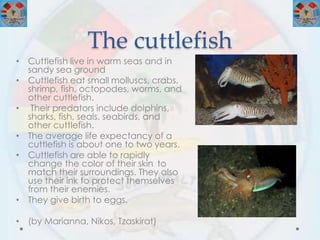 Water animals presentation | PPTX