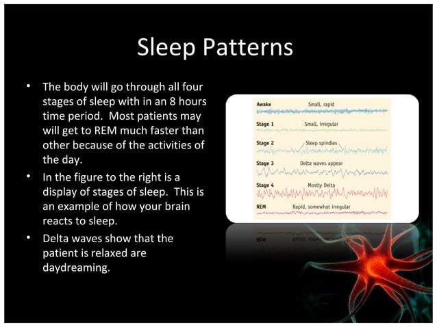 Healthy sleep patterns | PPT | Herbs and Supplements | Alternative Medicine