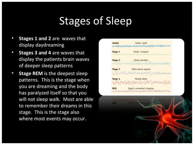 Healthy sleep patterns | PPT | Herbs and Supplements | Alternative Medicine