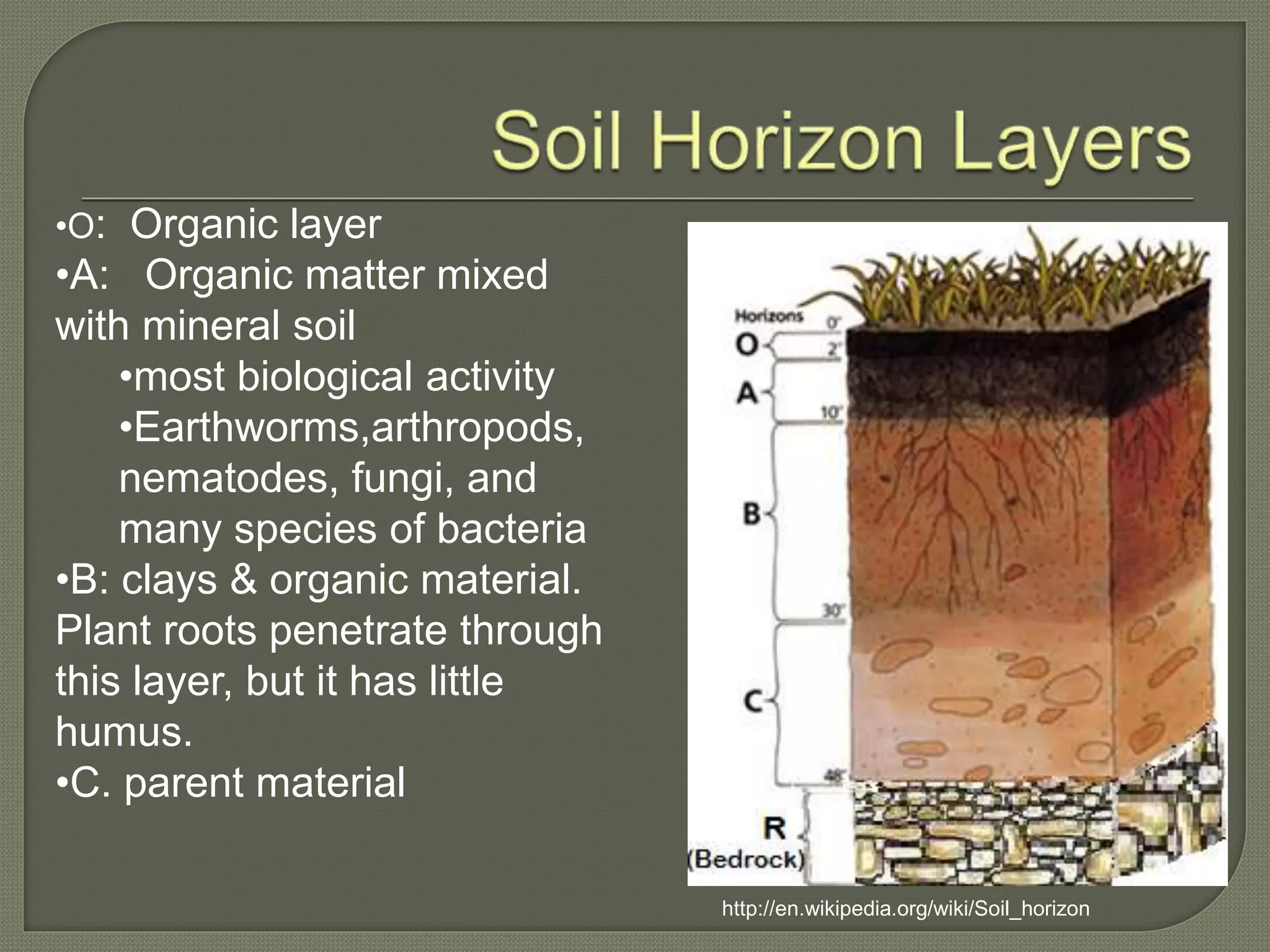 Healthy soil healthy food healthy people | PPTX