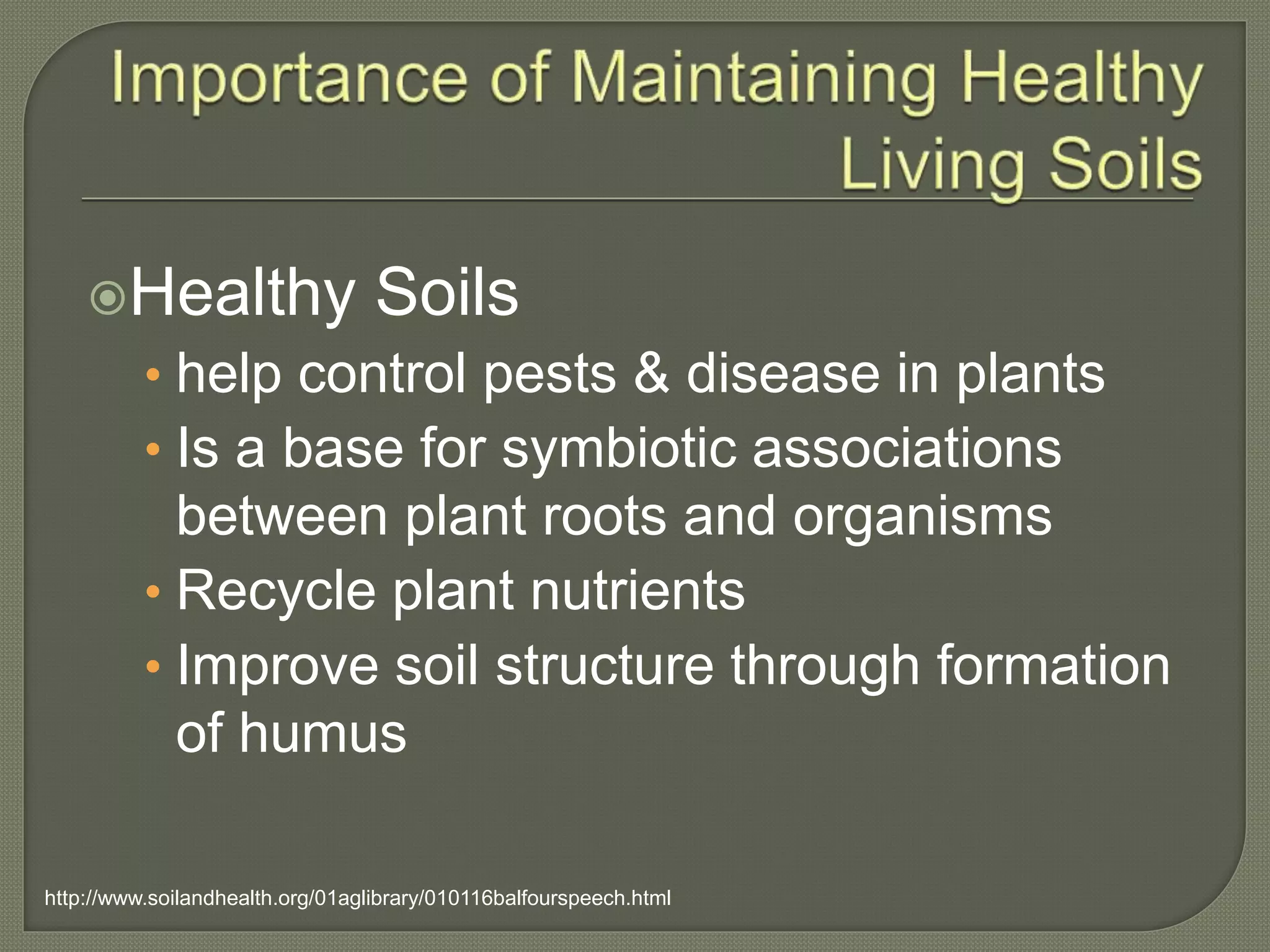 Healthy soil healthy food healthy people | PPTX
