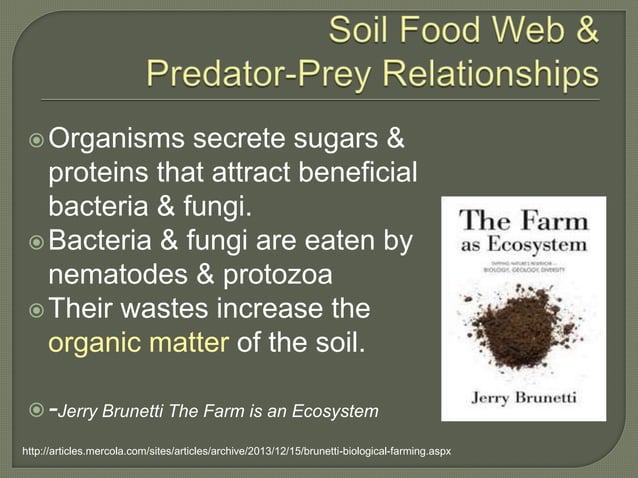 Healthy soil healthy food healthy people | PPTX