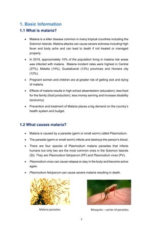 Healthy_Village_Facilitator_s_Guide-Malaria (4).pdf