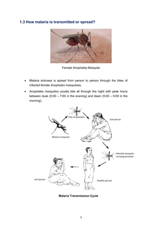 Healthy_Village_Facilitator_s_Guide-Malaria (4).pdf