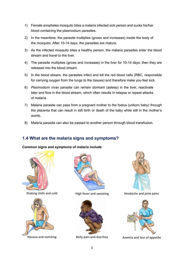 Healthy_Village_Facilitator_s_Guide-Malaria (4).pdf