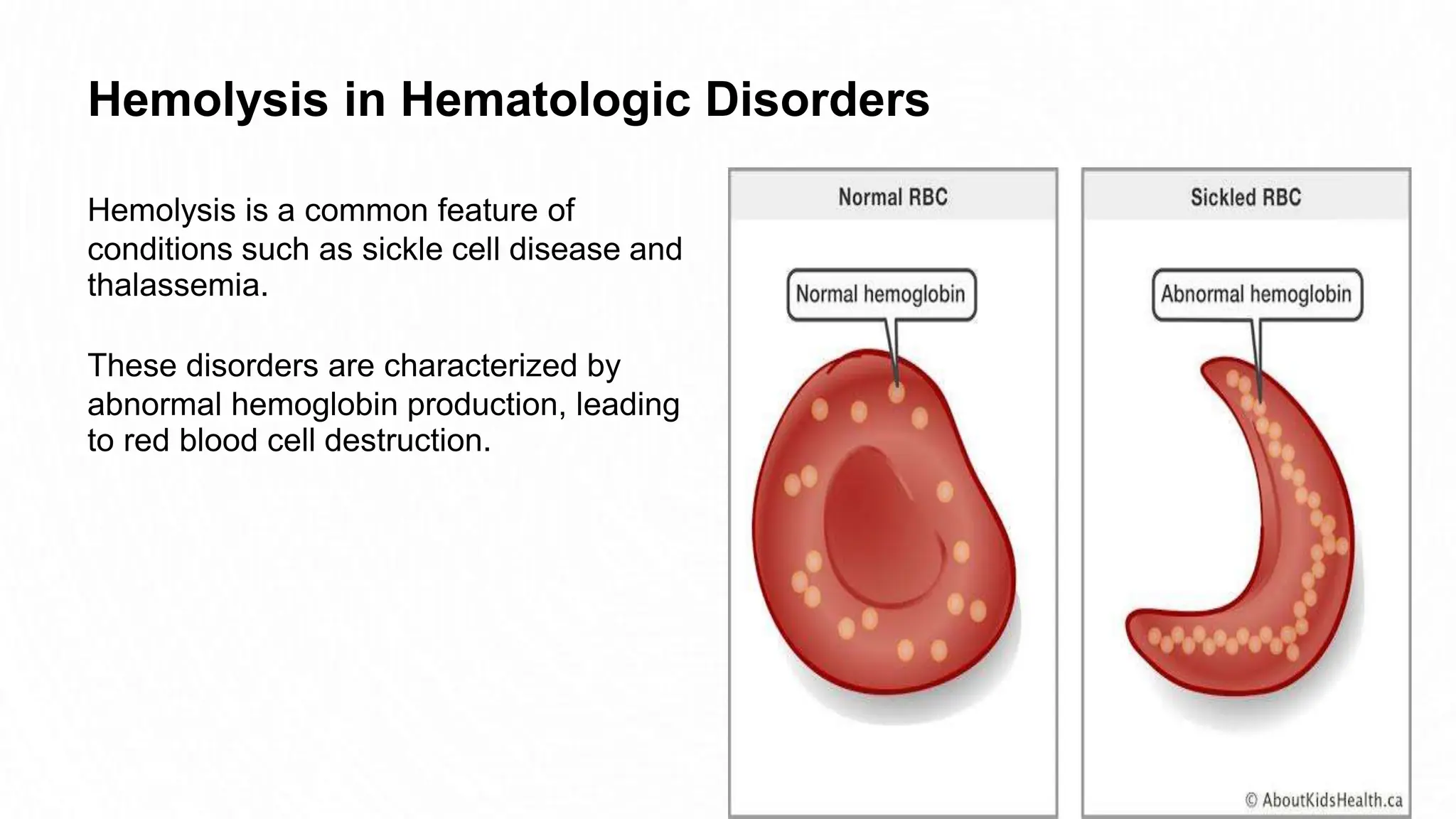 Heamolysis fundamental of hemolysis.pptx