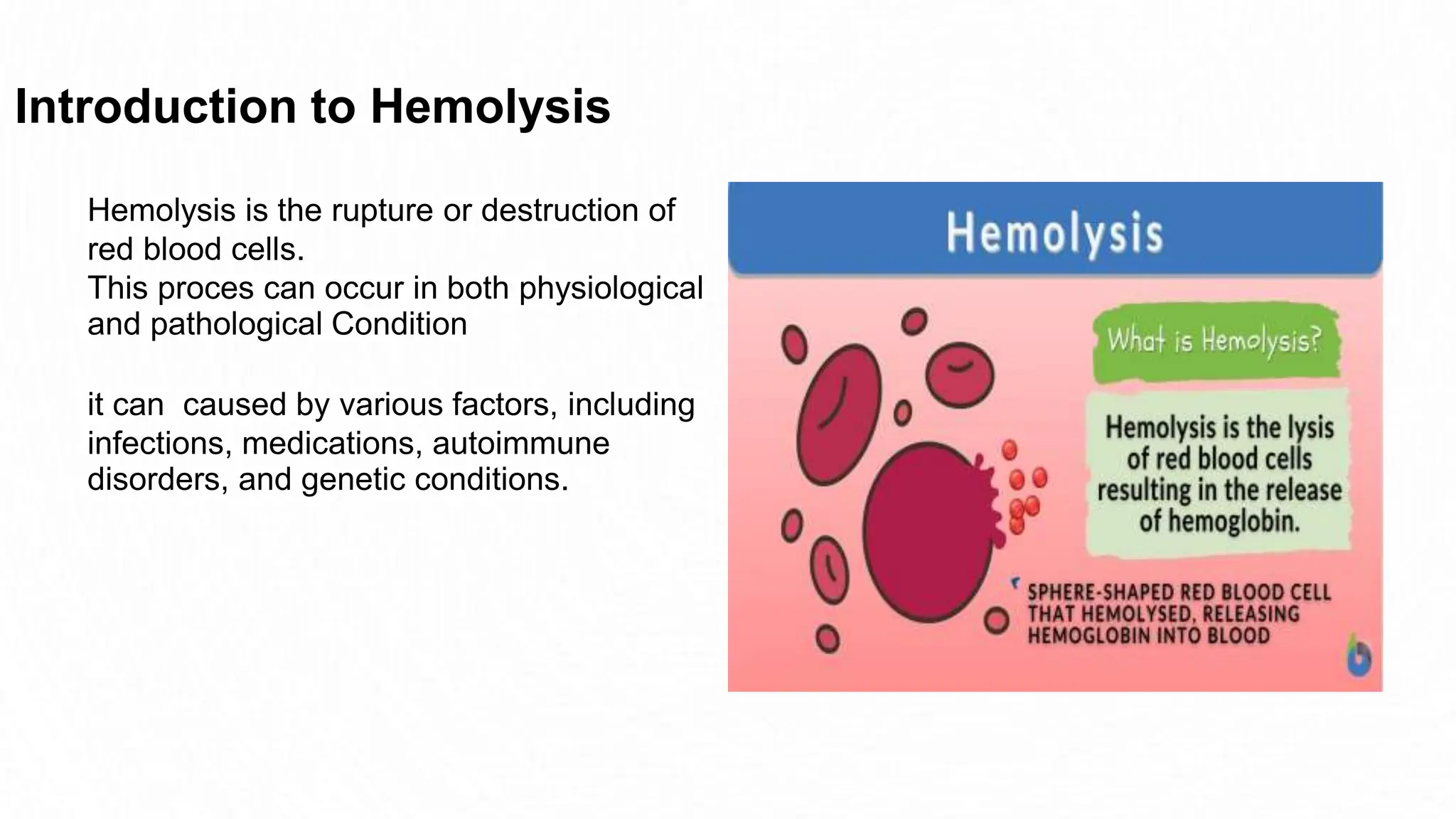 Heamolysis fundamental of hemolysis.pptx