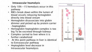Heamolysis fundamental of hemolysis.pptx