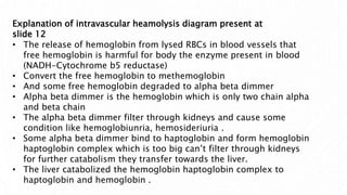 Heamolysis fundamental of hemolysis.pptx