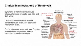 Heamolysis fundamental of hemolysis.pptx