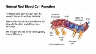 Heamolysis fundamental of hemolysis.pptx
