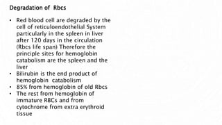 Heamolysis fundamental of hemolysis.pptx