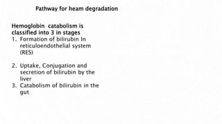 Heamolysis fundamental of hemolysis.pptx