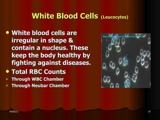 Heamotology and pathology by Abdul Khaliq | PPT