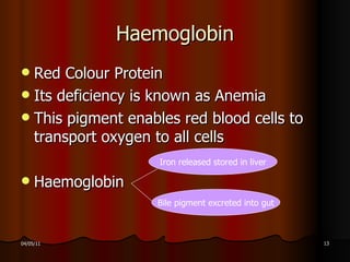 Heamotology and pathology by Abdul Khaliq | PPT
