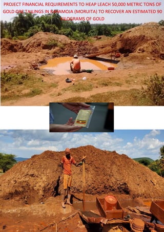 Costs to heap leach gold ore tailings in Karamoja region of Uganda | PDF