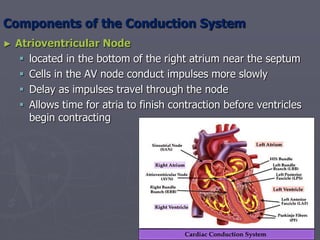 Hear-Conduction-System.ppt