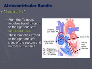 Hear-Conduction-System.ppt