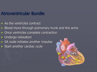 Hear-Conduction-System.ppt