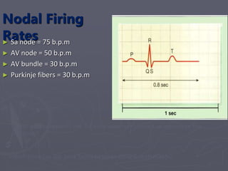 Hear-Conduction-System.ppt